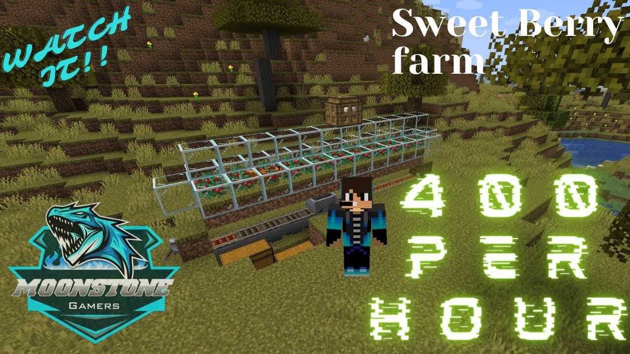 EASY SWEET BERRY FARM | 1.16.5 + | MINECRAFT - YouTube