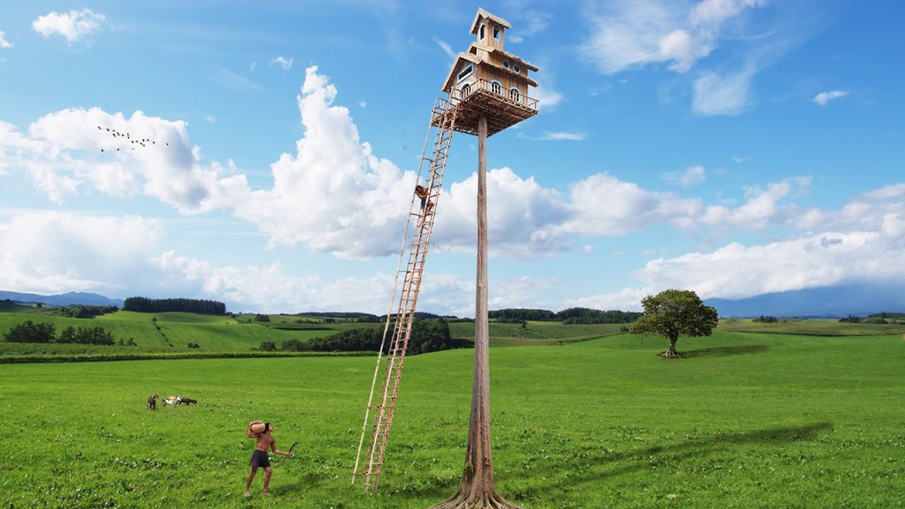 Absolutely Perfect ! Build Greatness Higher Treehouse With One Tree ...