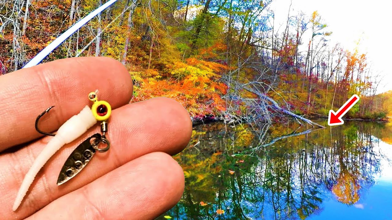 If You Like To Eat Crappie This Cheap Bait Is A Crappie Catching ...
