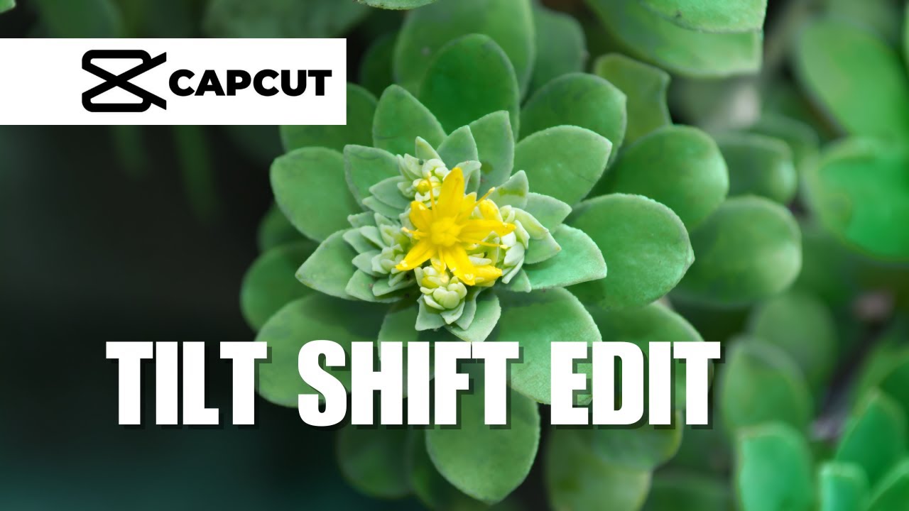 Want To Easily Create This Tilt Shift Video Edit Using CapCut PC PRO? Here's How You Can! - YouTube