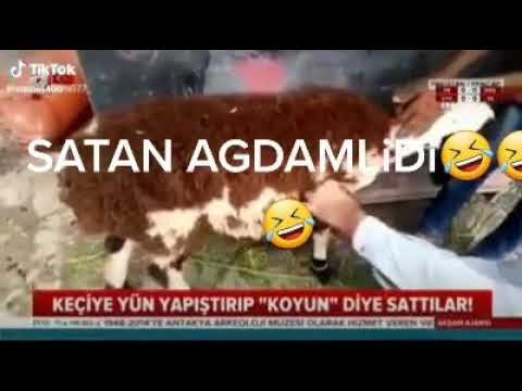 Sounds App😂(gülməli və marağlı paylaşımlar)( whatsap üçün durum)(AĞDAMLILARA GELSİN👍👍)