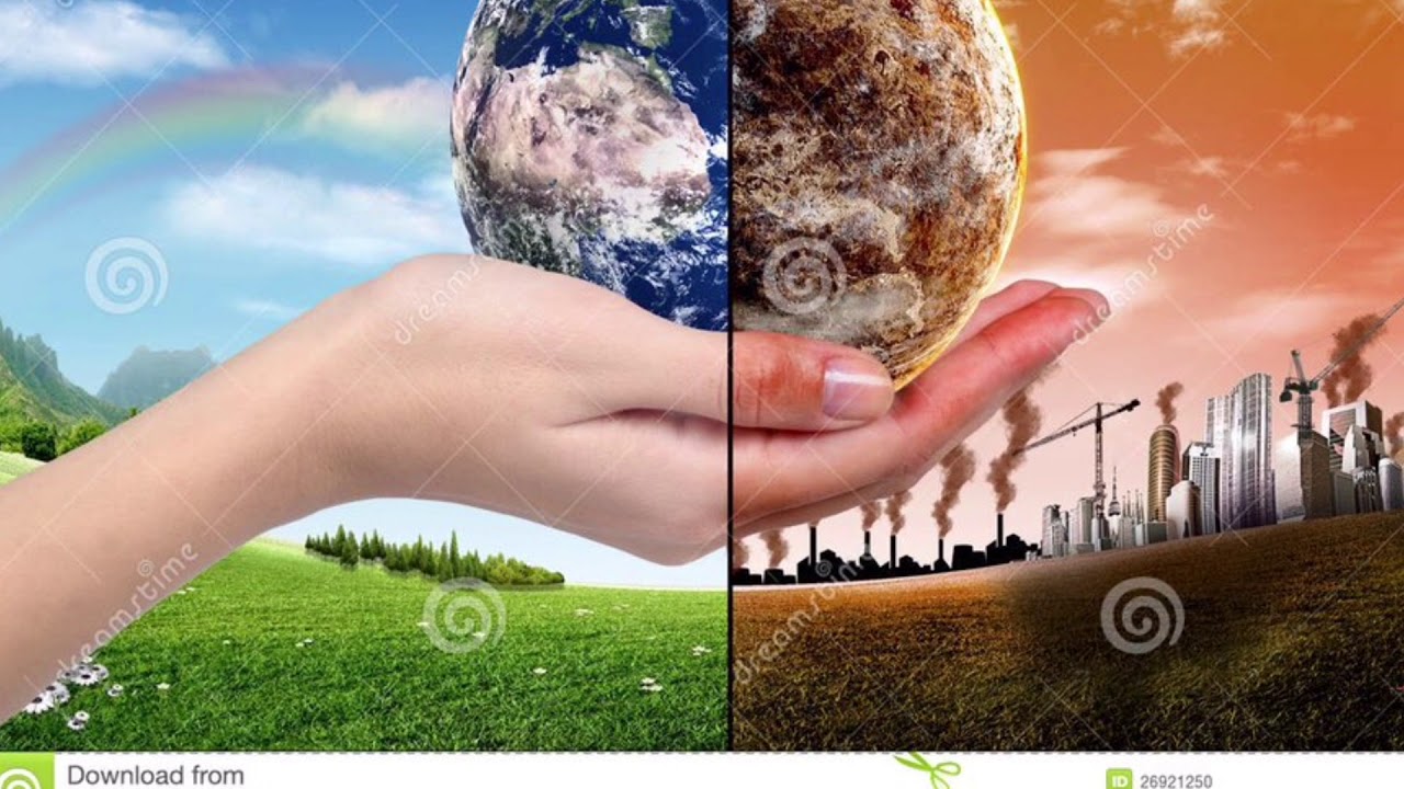 Environmental Is Dying - YouTube