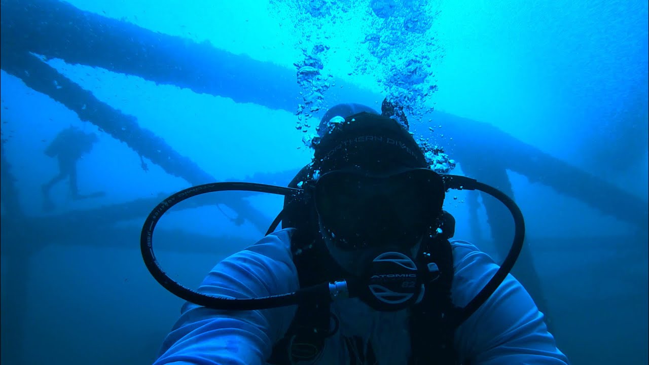 Let’s Dive!!! S.E.A. Divers explore a sunken bridge span in Panama City ...