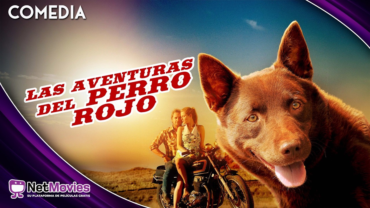 🐾 EL PERRO ROJO: la increíble historia real que unió a todo un pueblo ...