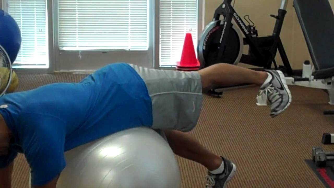 Ball Progression Exercise with Opposing Arm/Legs-Partners in Health ...