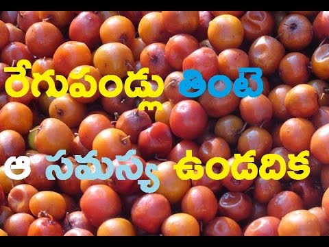 Indian Jujube / Regu pallu Amazing Benefits / health and beauty / Ttube ...