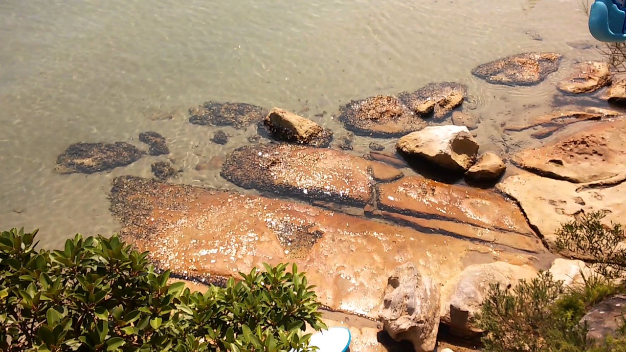 darook park II - YouTube