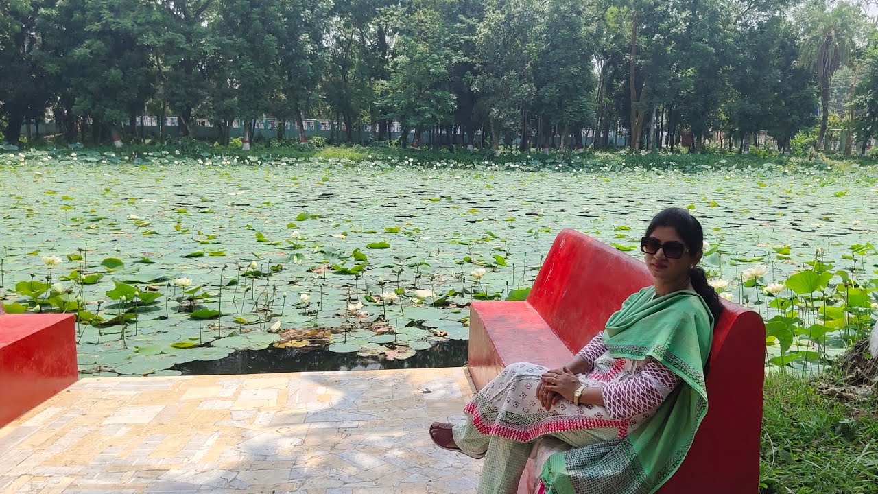 Poddo Pukur Barisal | Pond of Lotus Barisal | পদ্ম পুকুর বরিশাল | Tourist spots in Barisal - YouTube