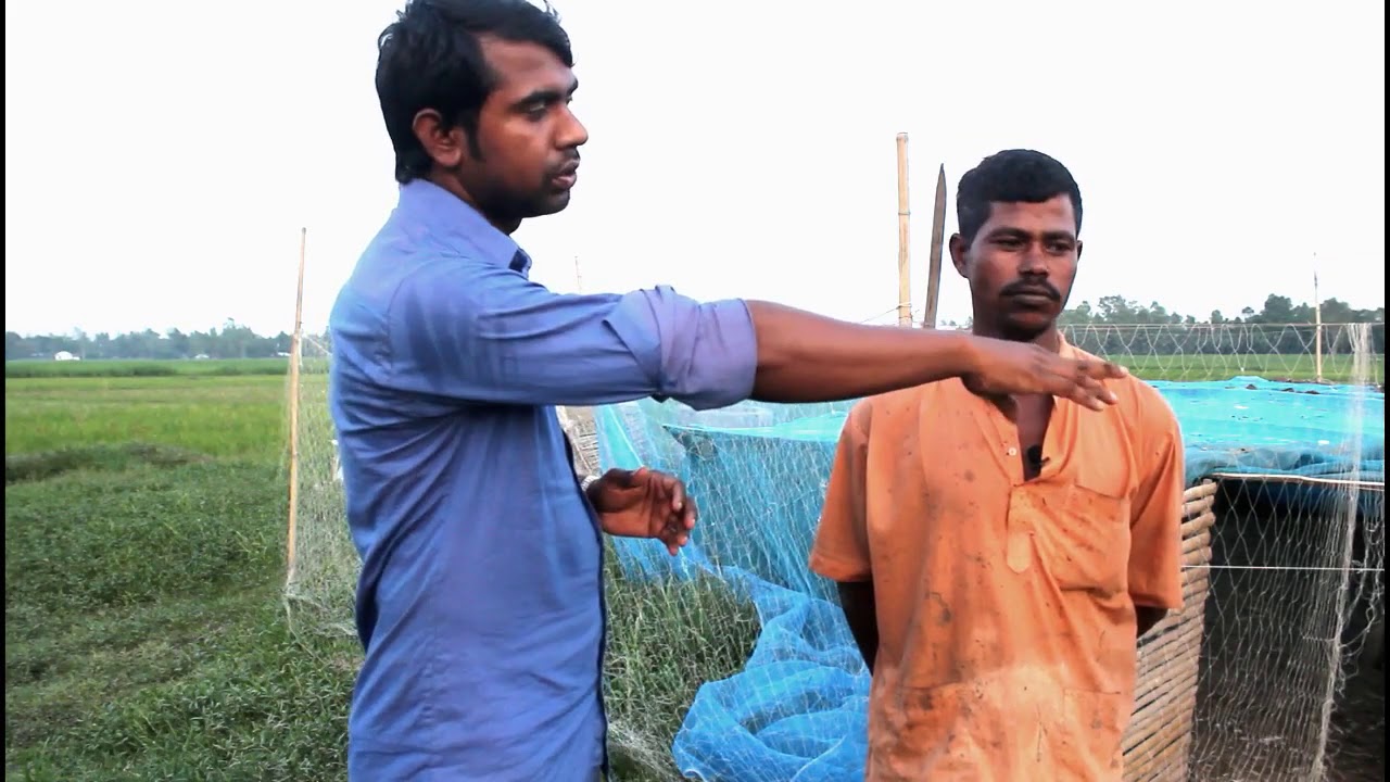 অন্যের খামারে কাজ করে এখন নিজেই খামারের মালিক ,duck farm,haser khamar ...