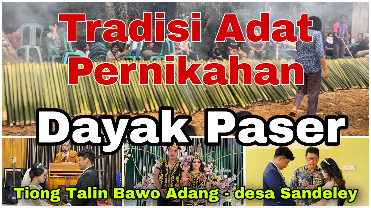 ️TRADISI UNIK ️adat perkawinan khas Dayak Paser di Desa Sandeley # ...