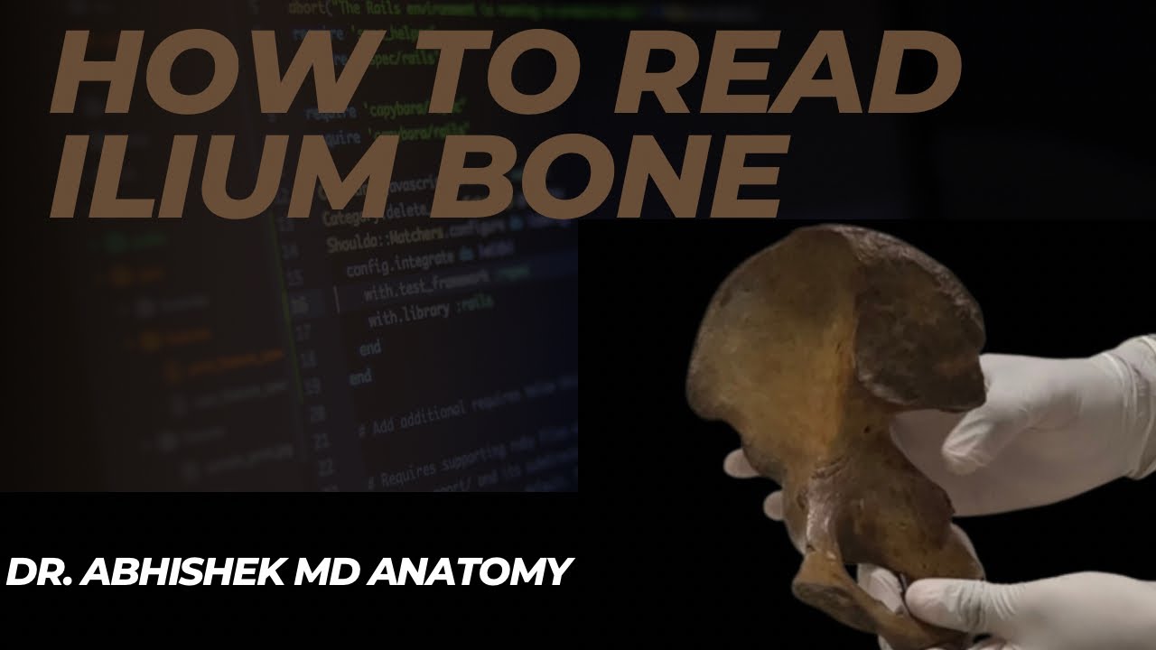 Anatomy of ILIUM BONE easy to learn - YouTube