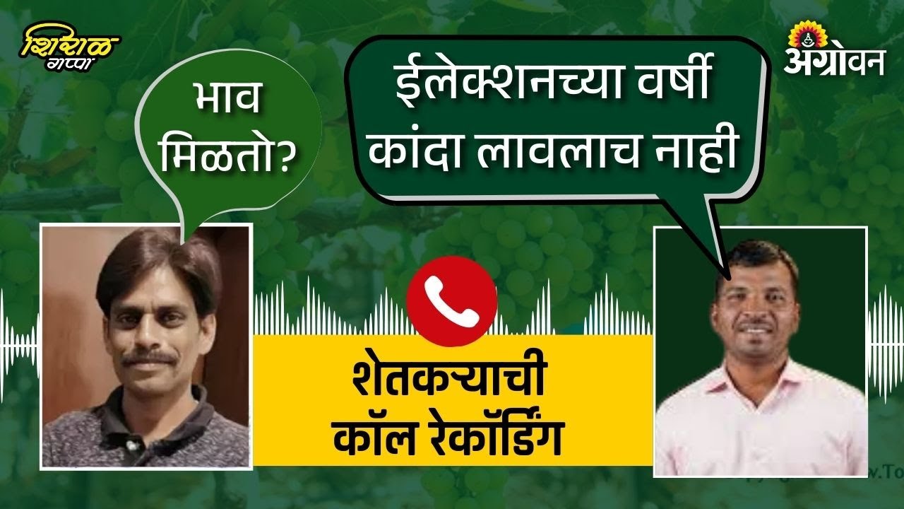 नाशिकच्या फळबाग उत्पादक कसा कमवतात नफा? कॉल रेकॉर्डिंग | Call recording ...