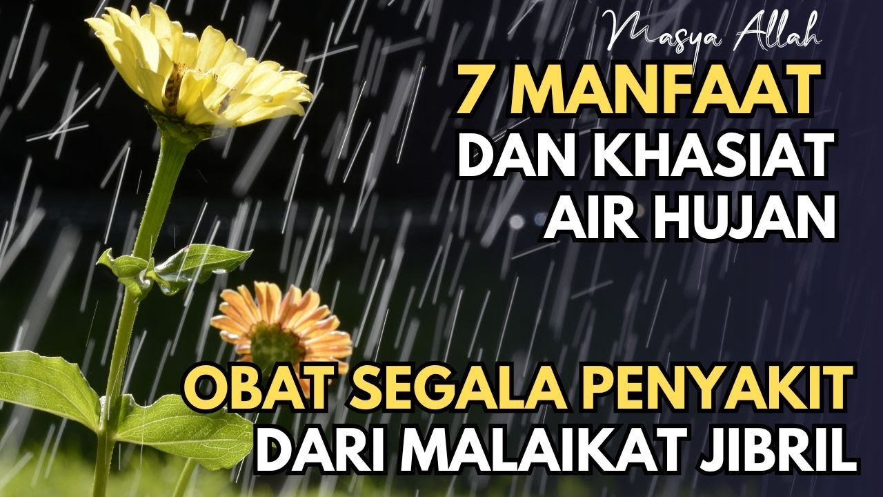 Subhanallah Inilah 7 Manfaat Dan Khasiat Air Hujan No 5 Tidak