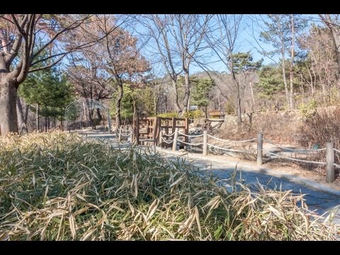 Samcheong Park in the winter in Seoul, South Korea - YouTube