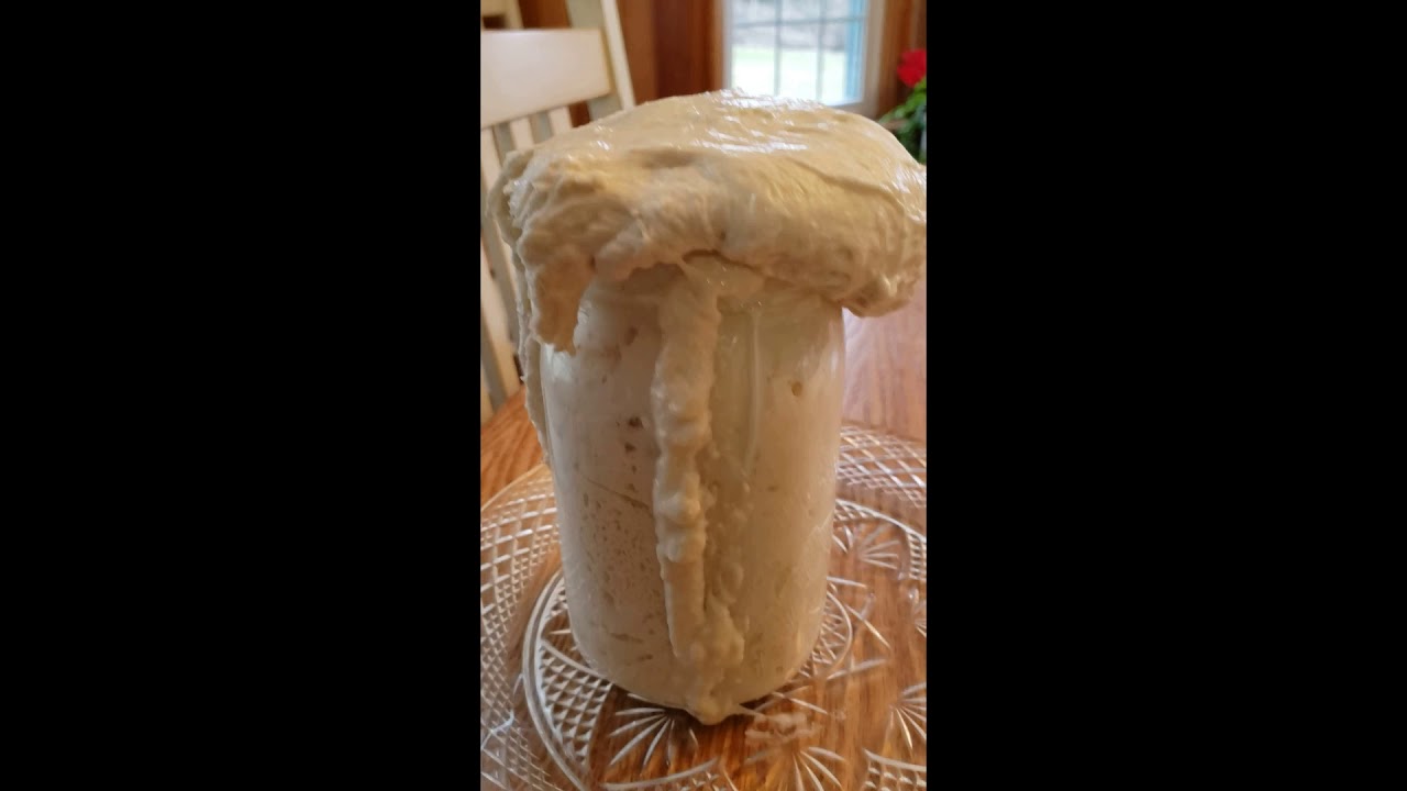 Sourdough Starter Explosion - YouTube