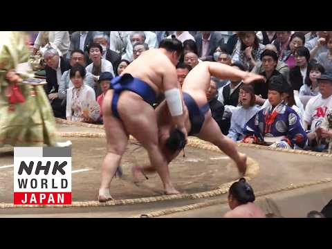 GRAND SUMO: Day 7 of the September 2026 Tournament - GRAND SUMO Highlights