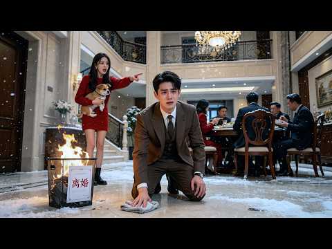 赘婿3年，我為她全家當牛做馬，卻淪為狗都不如的地步！一紙離婚協議甩在我面前，我終於看清這家人的真面目，當場離婚重回玄門大佬身份，全家瞬間跪求我原諒！