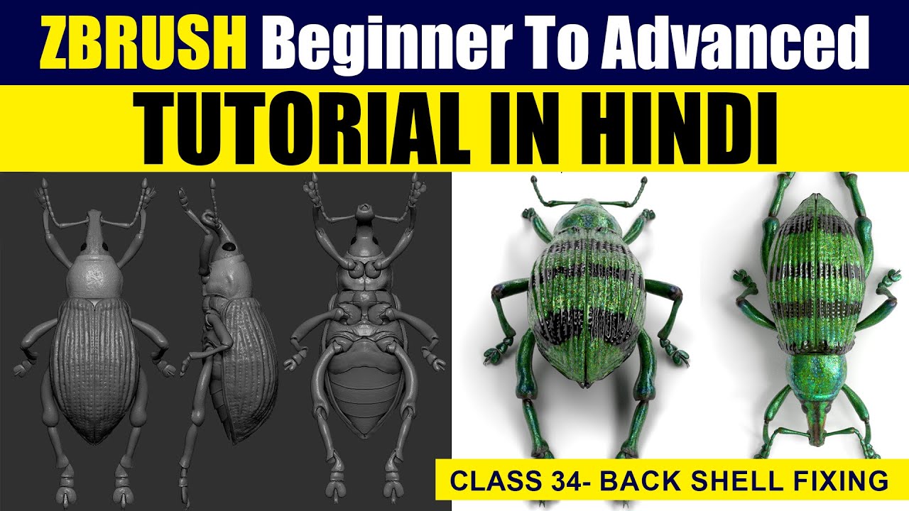 Back Shell Fixing In Zbrush | Class 34 | Hindi Tutorial - YouTube