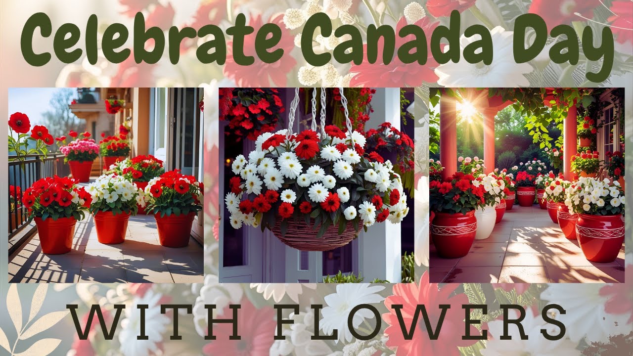 DIY Canada Day Flower Decor | Make Your Garden Shine Red & White # ...