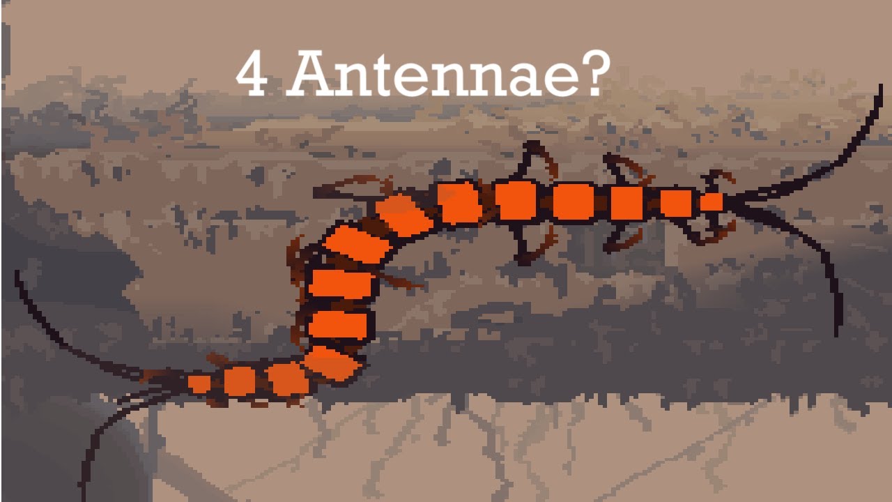 Rain World Animals Speculative Taxonomy - YouTube