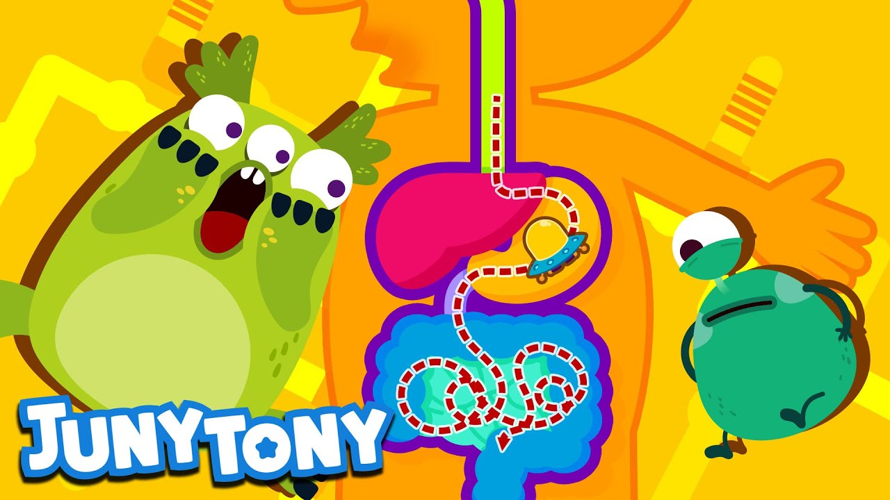 Journey into Our Bodies | Digestive System | Body Parts Songs for Kids ...