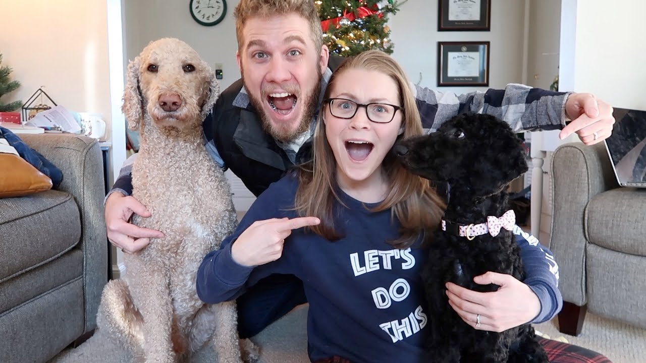 THE FREY LIFE TAKES ON A PUPPY!!! (12.3.18) - YouTube