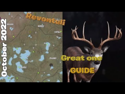 Get Your WHITETAIL GREAT ONE In Revontuli Coast! - YouTube