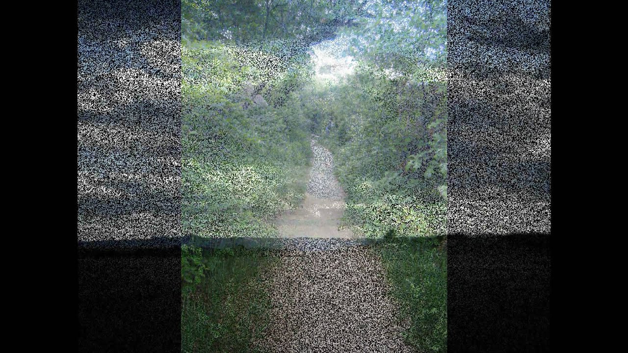 Amateur Photography By Damien Preston Part 2 - YouTube