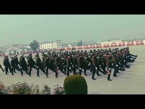 JAKLI. CONTIGENT   AT. DELHI