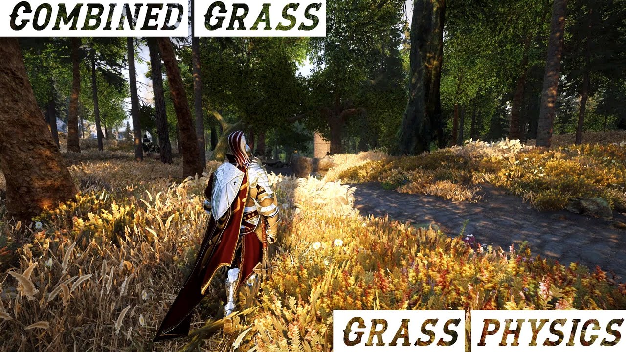Skyrim Combined Grass-QW Patch | Grass Physics-ENB Complex Grass ...