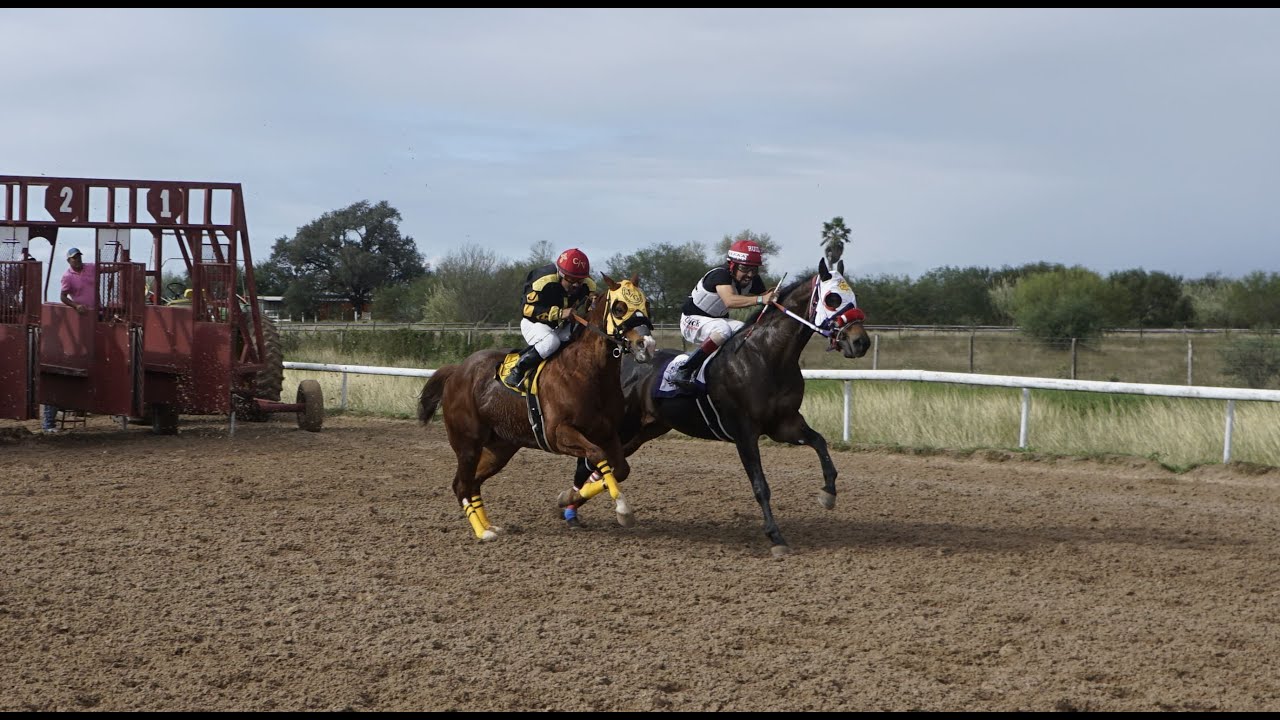 El Pando vs El Busca Buches | 275 Yds | Diciembre 15, 2024 | 1015 ...