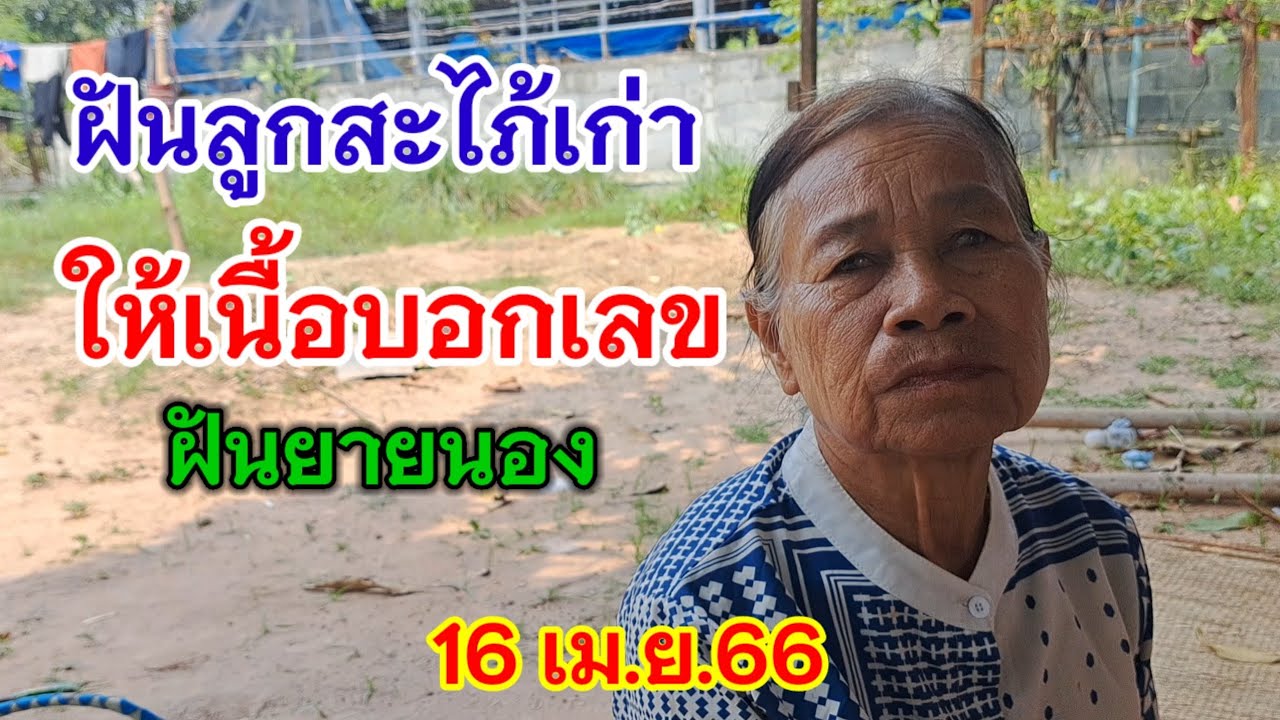 ฝันลูกสะไภ้เก่า ให้เนื้อบอกเลข 16/4/66 - YouTube