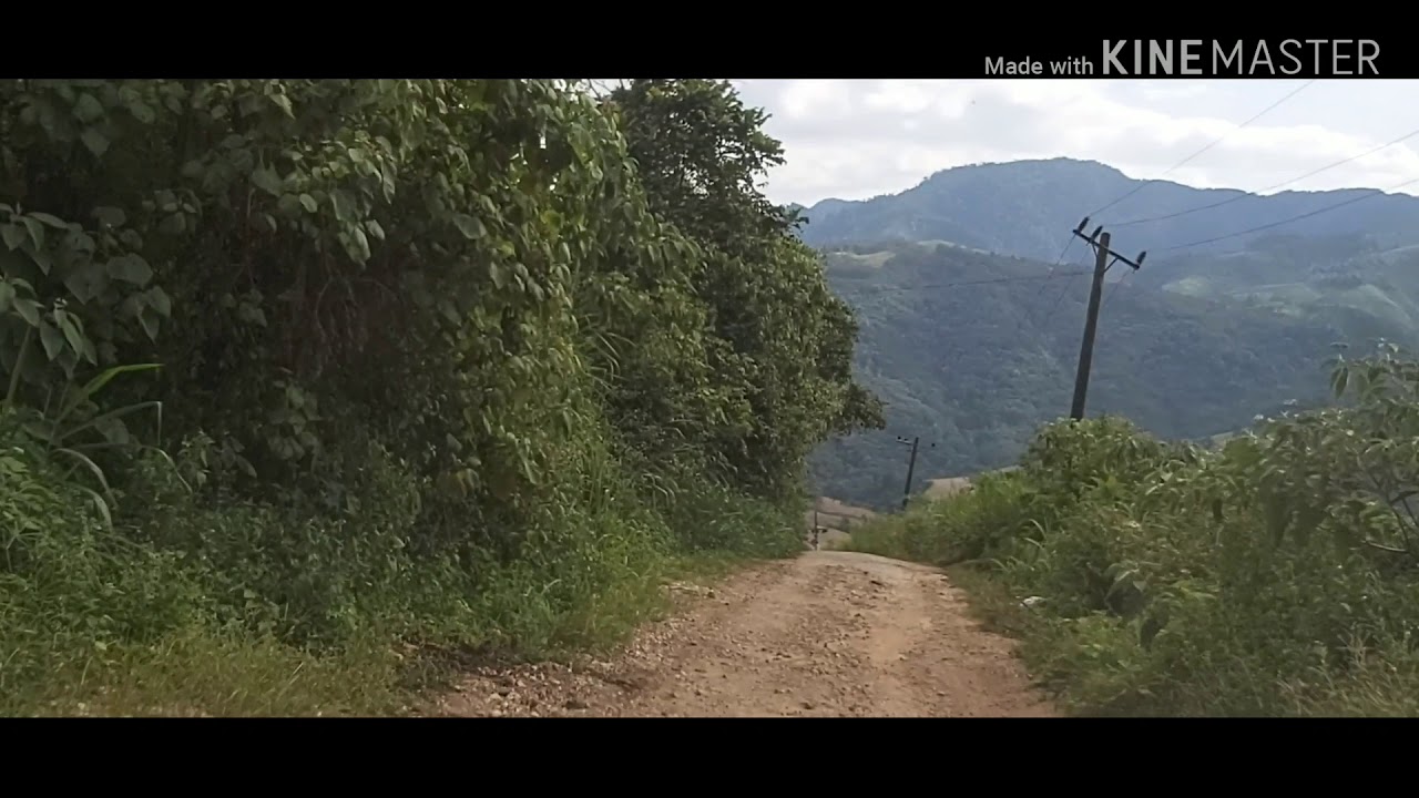 Kondisi Jalan Desa Pamah ke Pasir Mbelang Dairi - YouTube