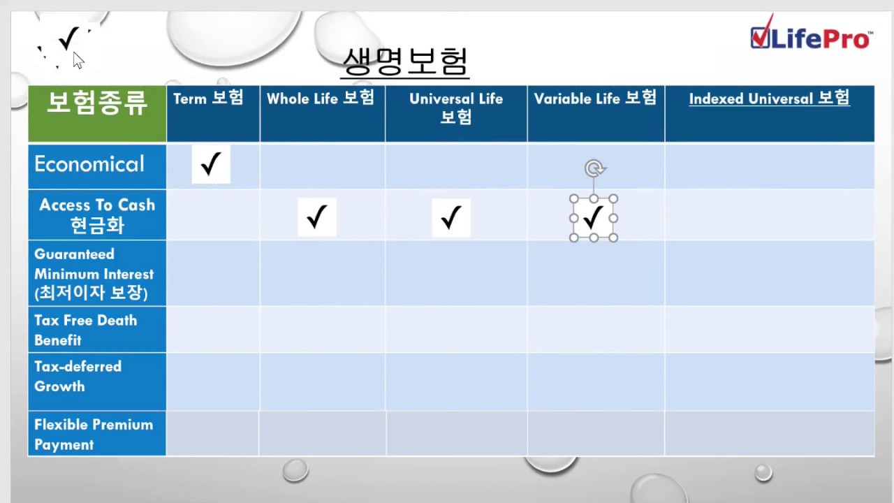 Miscellaneous and Personal Lines Coverage - YouTube