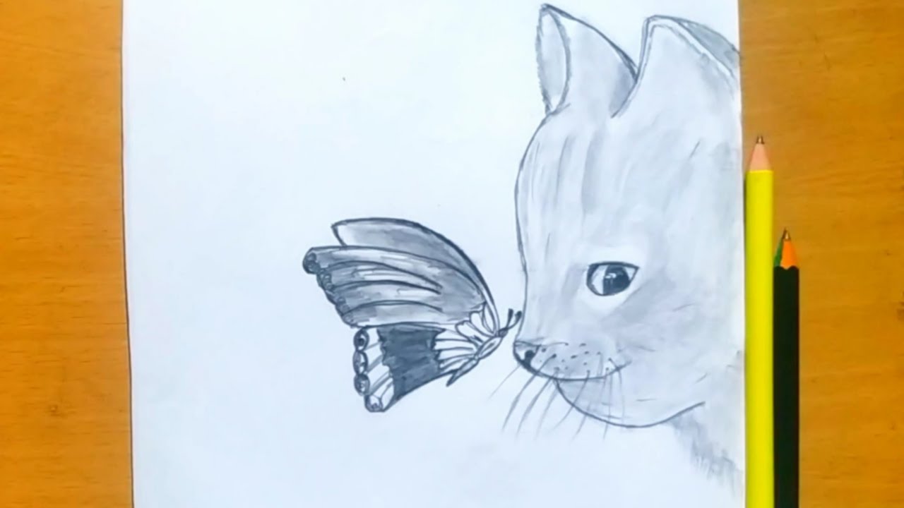 how to draw a cat with butterfly for beginners | draw a cat with a ...