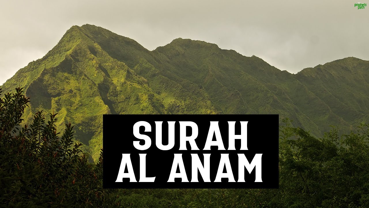 SURAH AL AN'AM (FULL SURAH) - HEART SOOTHING RECITATION - YouTube