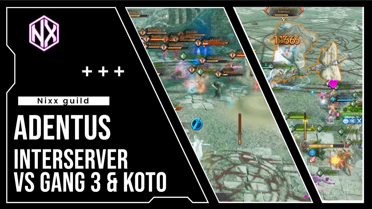 Nixx vs Gang 3 & Kot0 Adentus Interserver - Successful 80% Contribution ...