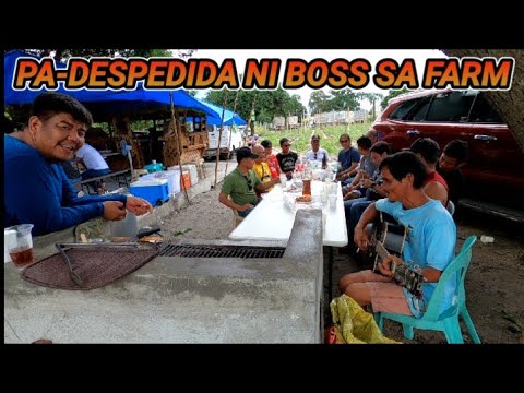 DESPEDIDA NI BOSS SA FARM | GAMIT PAGPAPATABA SA GULAY - YouTube