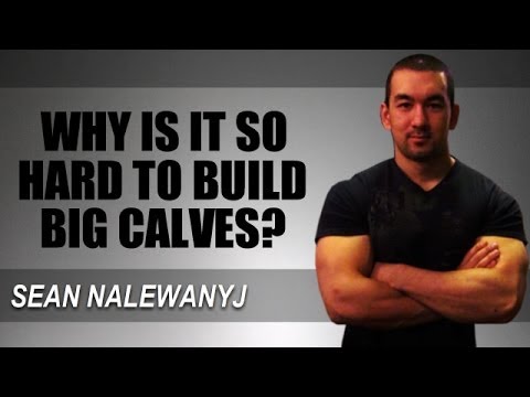 Bad Calf Genetics? Why Stubborn Skinny Calves Don't Grow Easily - YouTube