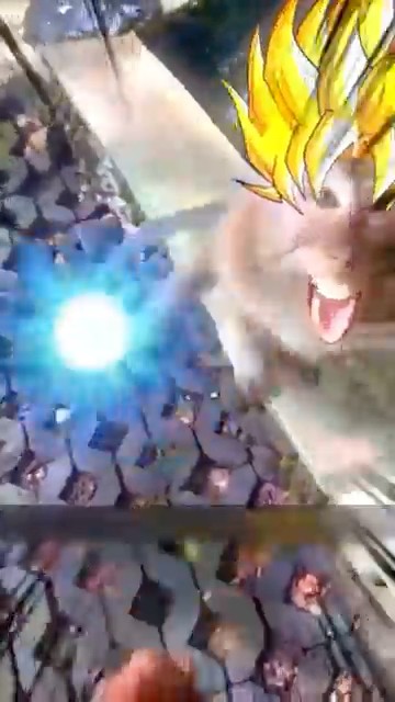 How to transform a Monkey in Super Sayan #shorts - YouTube