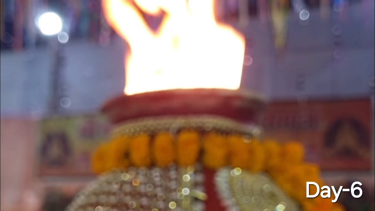 Day-6 Navratri 2024 | Shri Kutch Kadva Patidar Samaj Bilaspur - YouTube