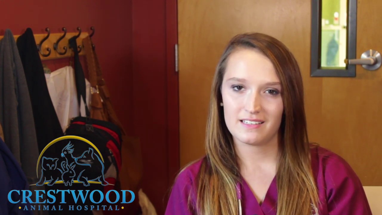 Tech Tuesday: Brenna C - YouTube