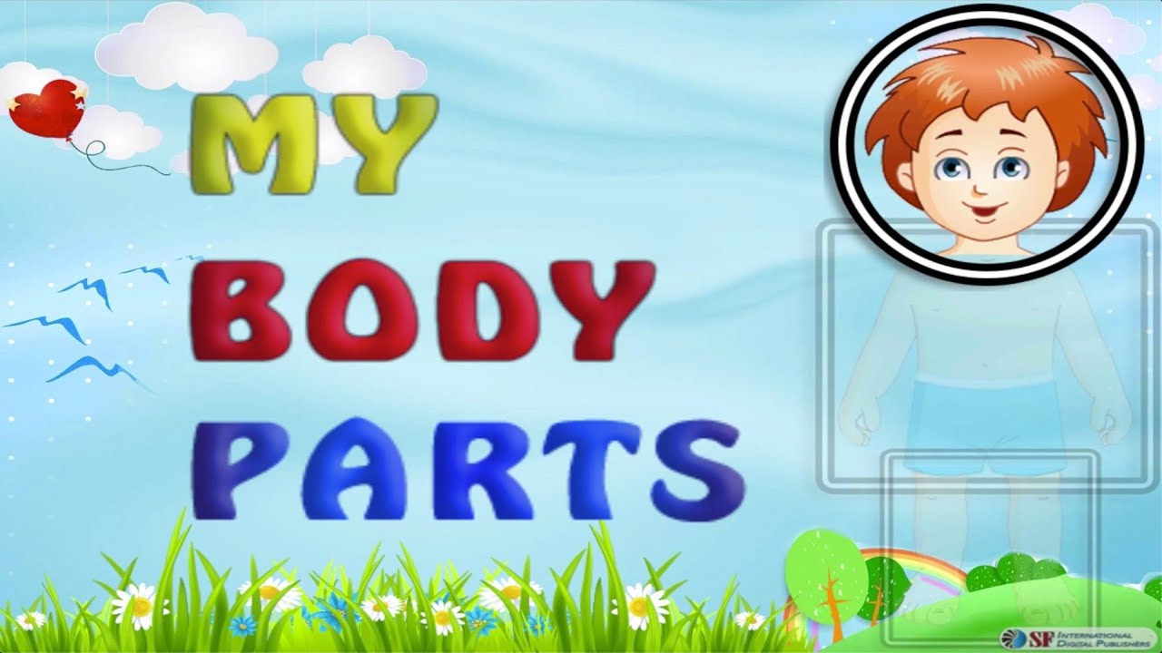 My Body Parts - Head - YouTube