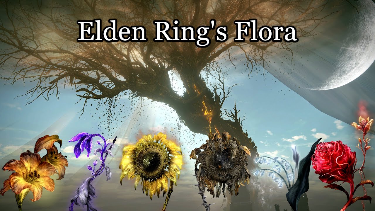 Flowers & Trees Explained | Elden Ring Lore - YouTube