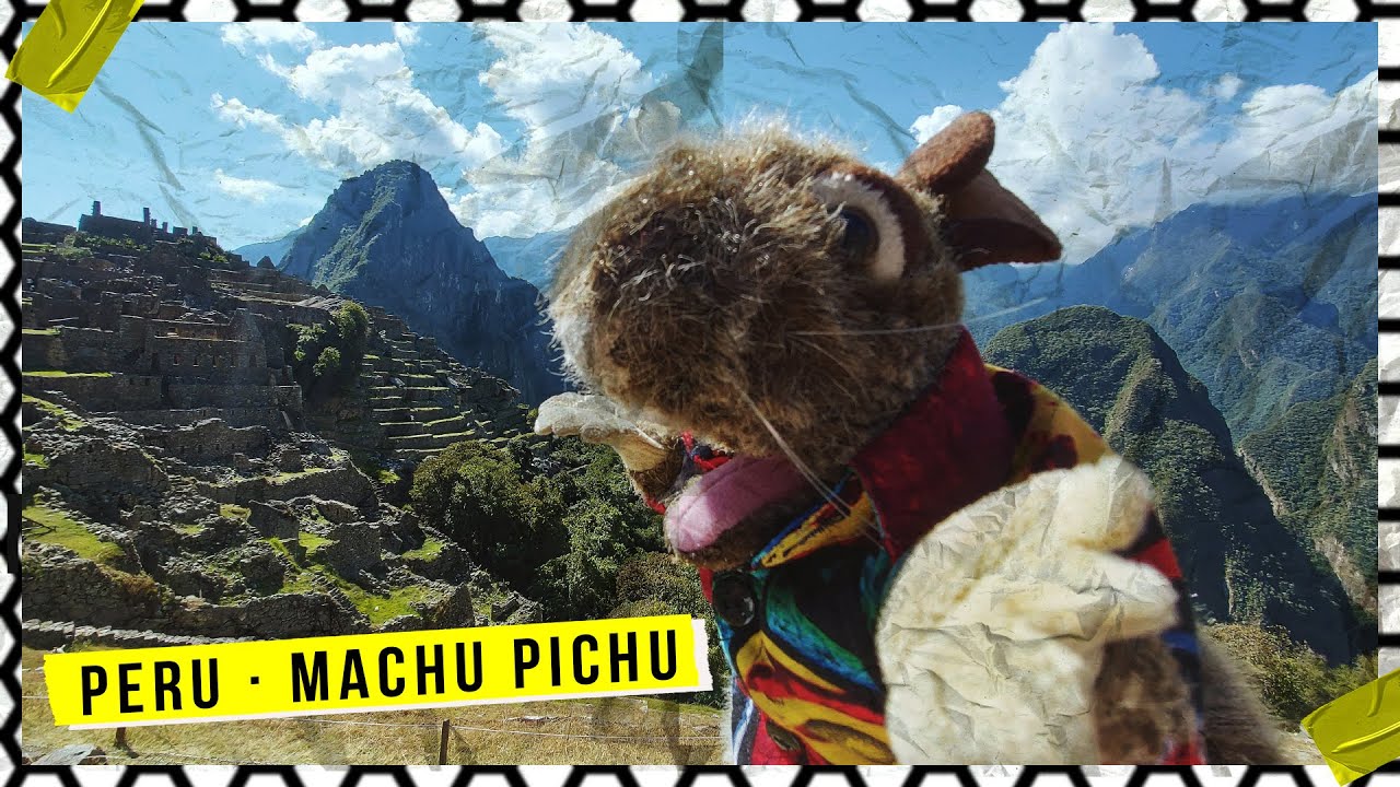 Demian The Rat en Machu Picchu ! - YouTube
