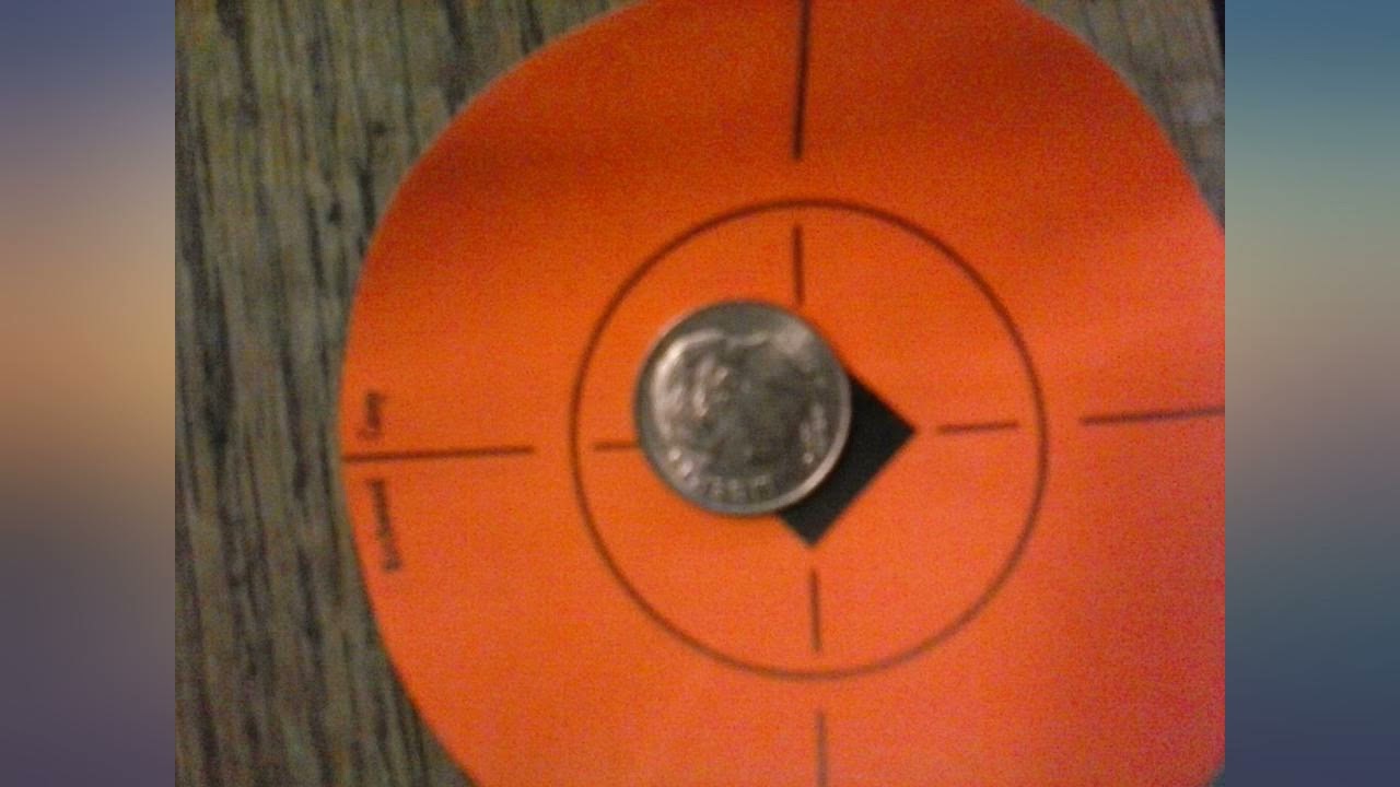 Bushnell Banner Dusk & Dawn Circle-X Reticle Riflescope review - YouTube