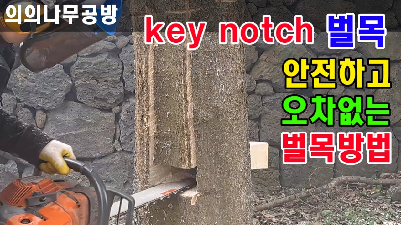 안전하고 오차없는 벌목방법. key notch - YouTube