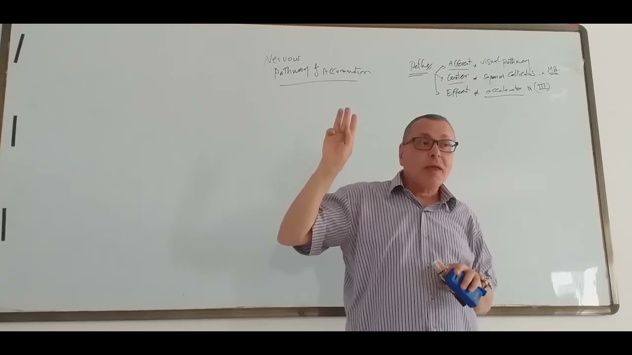 Nervous pathway of accommodation Part 1 - YouTube