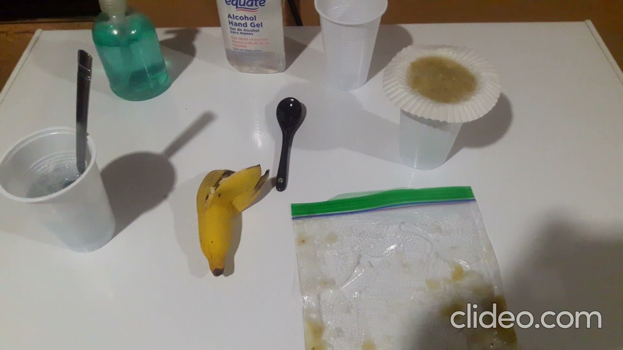 Extracción de ADN de Banano ( Musa paradisiaca) - YouTube