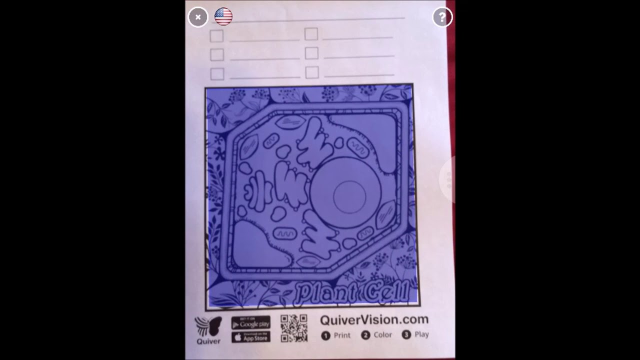 Lesson Ideas for the Quiver Education App - YouTube